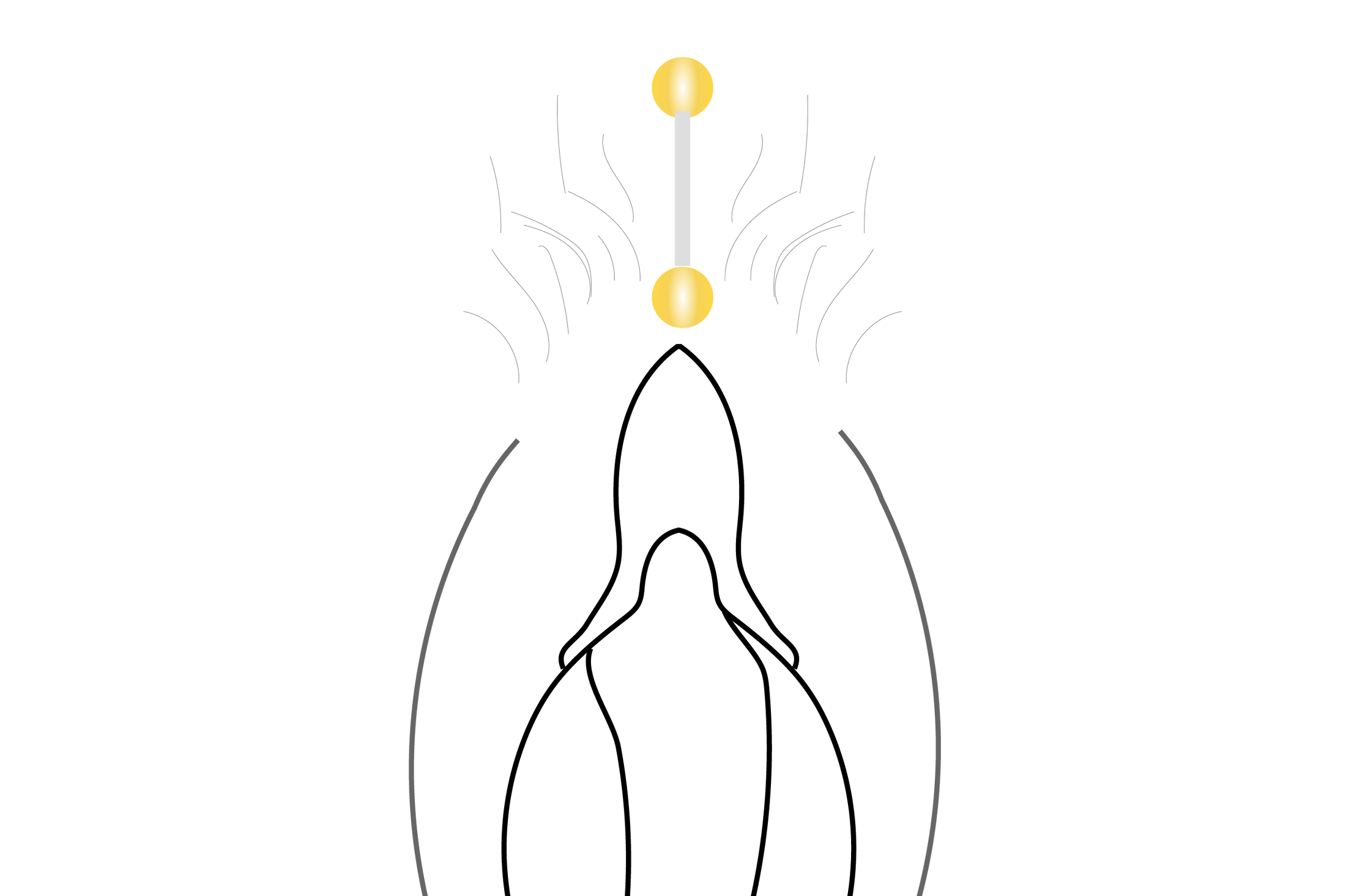 Vulva/Female Genital Piercings – Piercing Experience