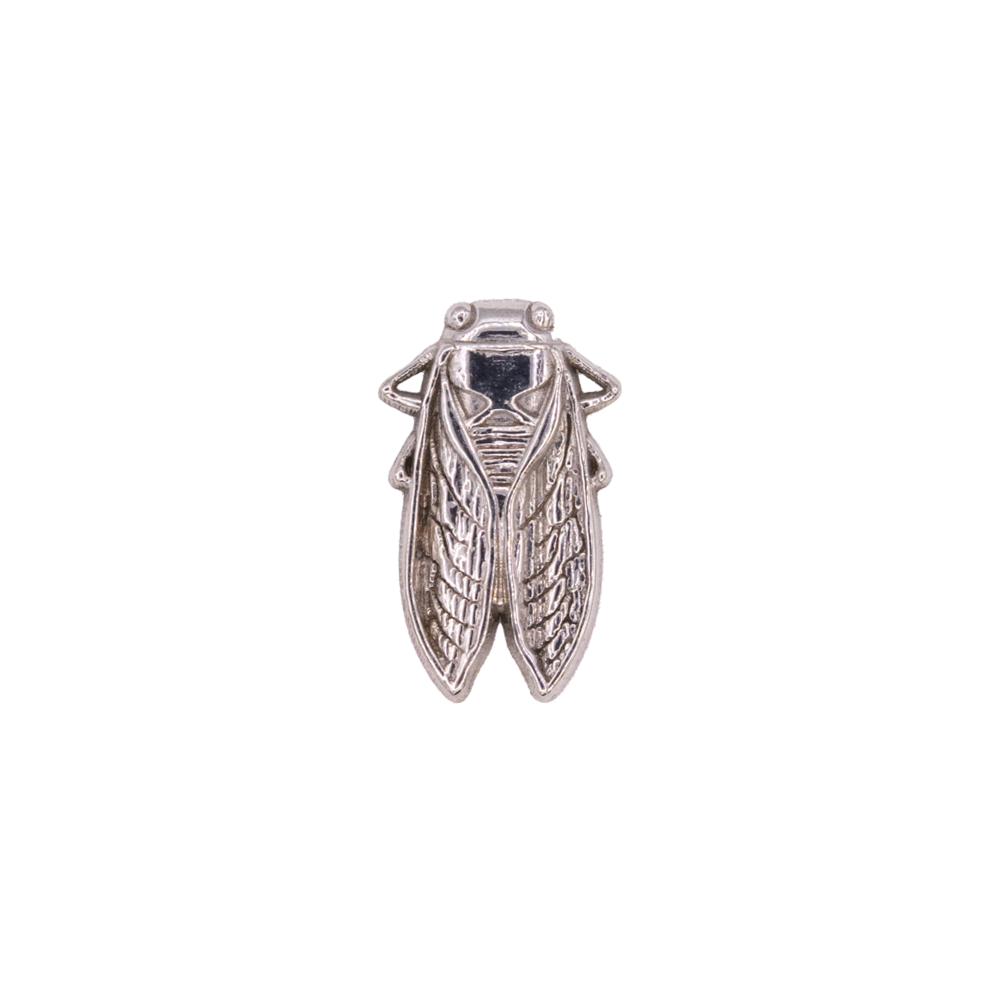 Cicada insect threadless end in white gold – Piercing Experience