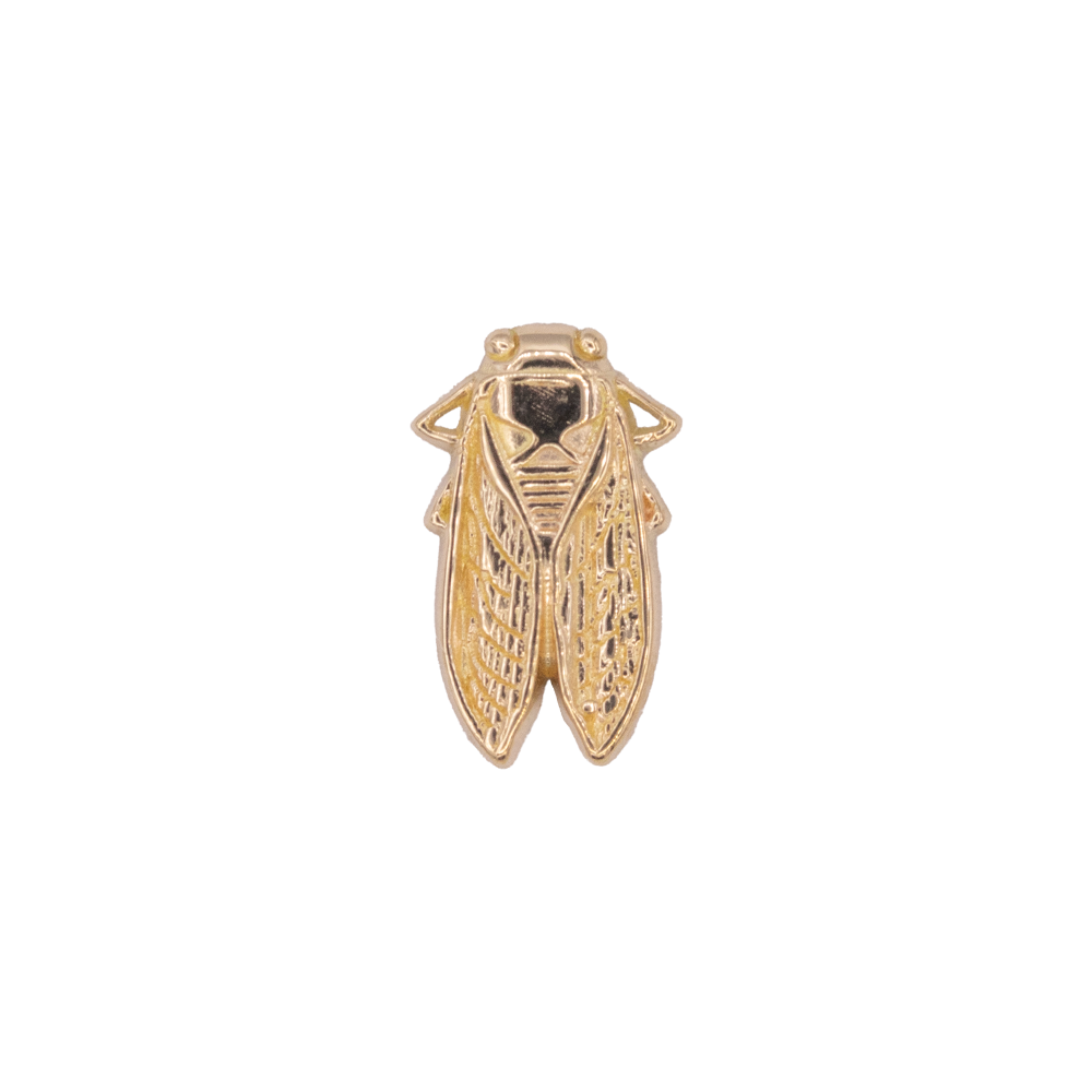 Cicada insect threadless end in yellow gold – Piercing Experience