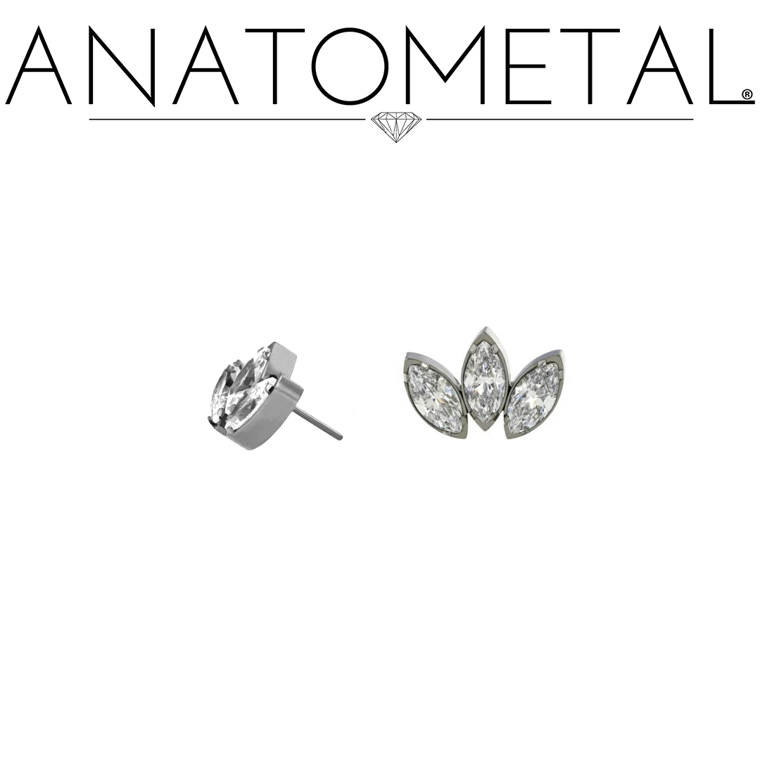 Threadless bezel marquise fan end in titanium – Piercing Experience